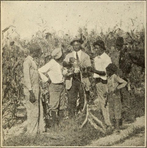 African American history | Explore History